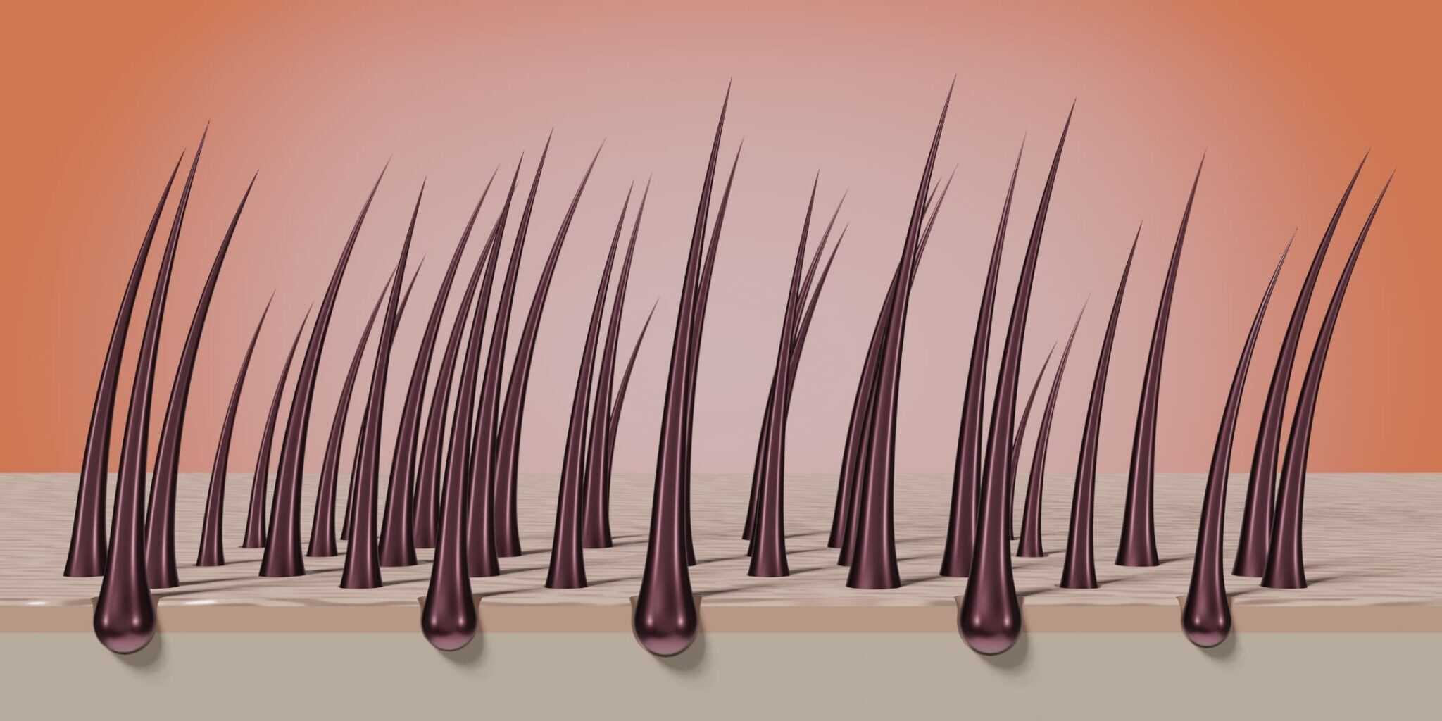 Beard Hair vs Head Hair: What's The Difference?