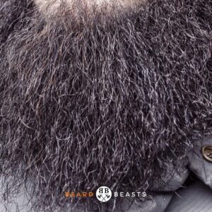 The Neckbeard: Everything You Need To Know